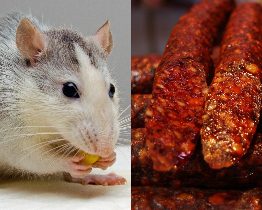 Why Studies Need Multiple Experiments, An Illustration Using Manic Rats ...