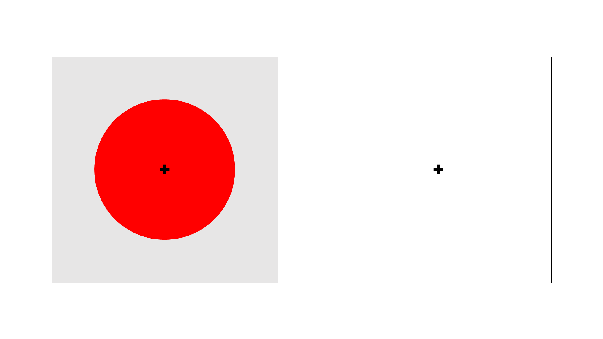 Chimerical Colours – How to See the Impossible – SENSEational science