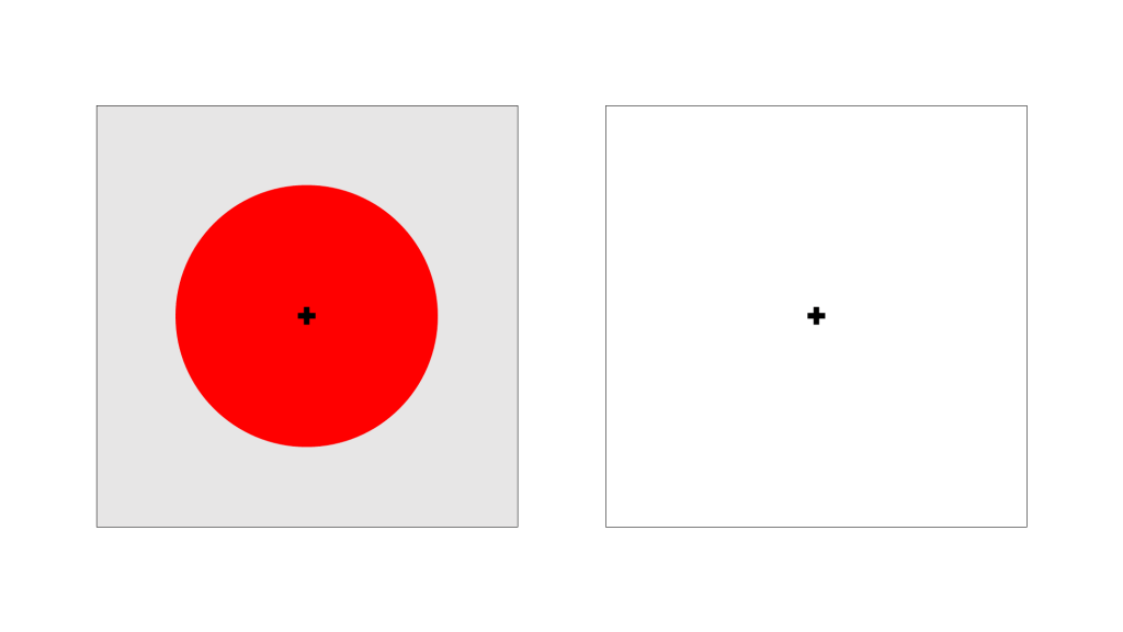 Chimerical Colours – How to See the Impossible – SENSEational science