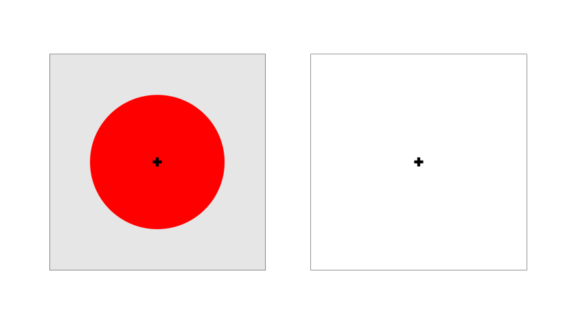 Chimerical Colours – How to See the Impossible – SENSEational science